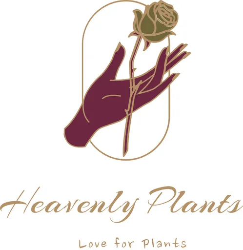 Heavenly Plants Locations in Canada | Mall Store Directory | Mallfinder.ca
